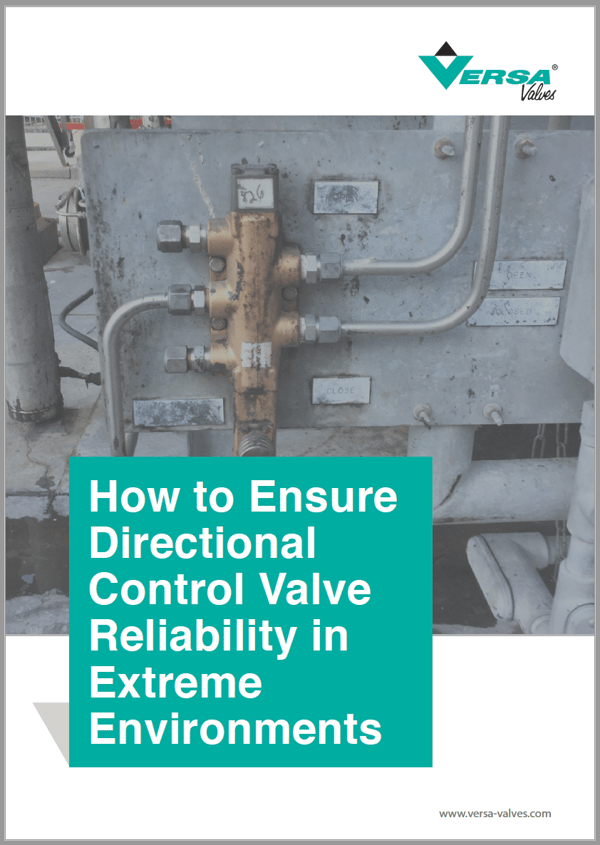 How to Ensure Directional Control Valve Reliability in Extreme Environments